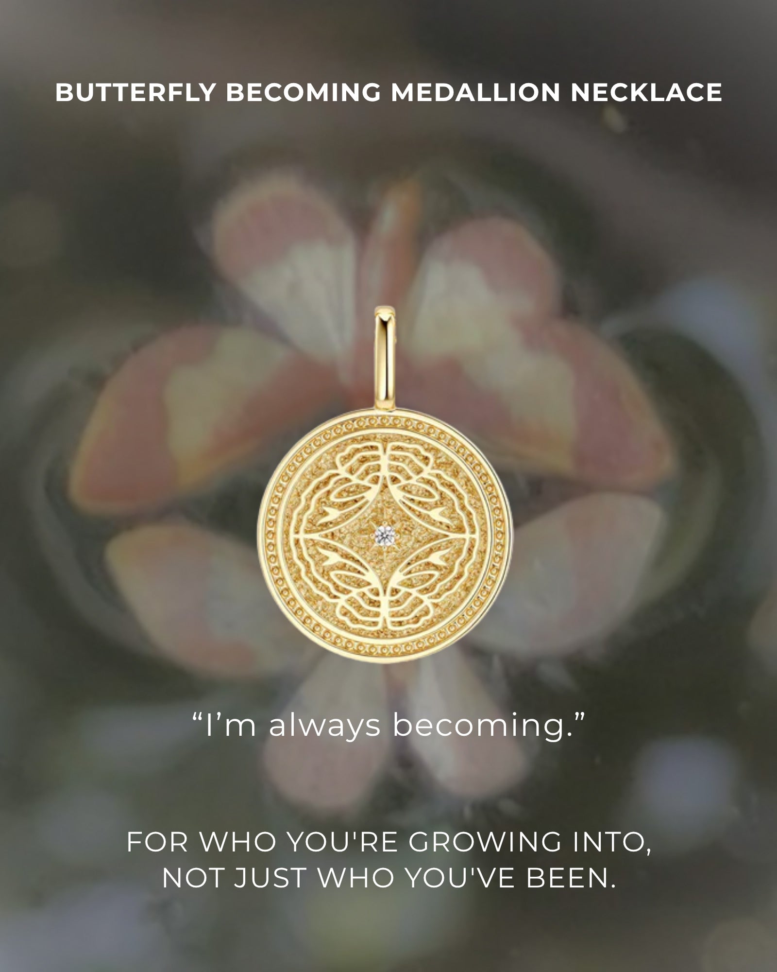 Behind the Radiance: The Story Within the Symbols – vanimy